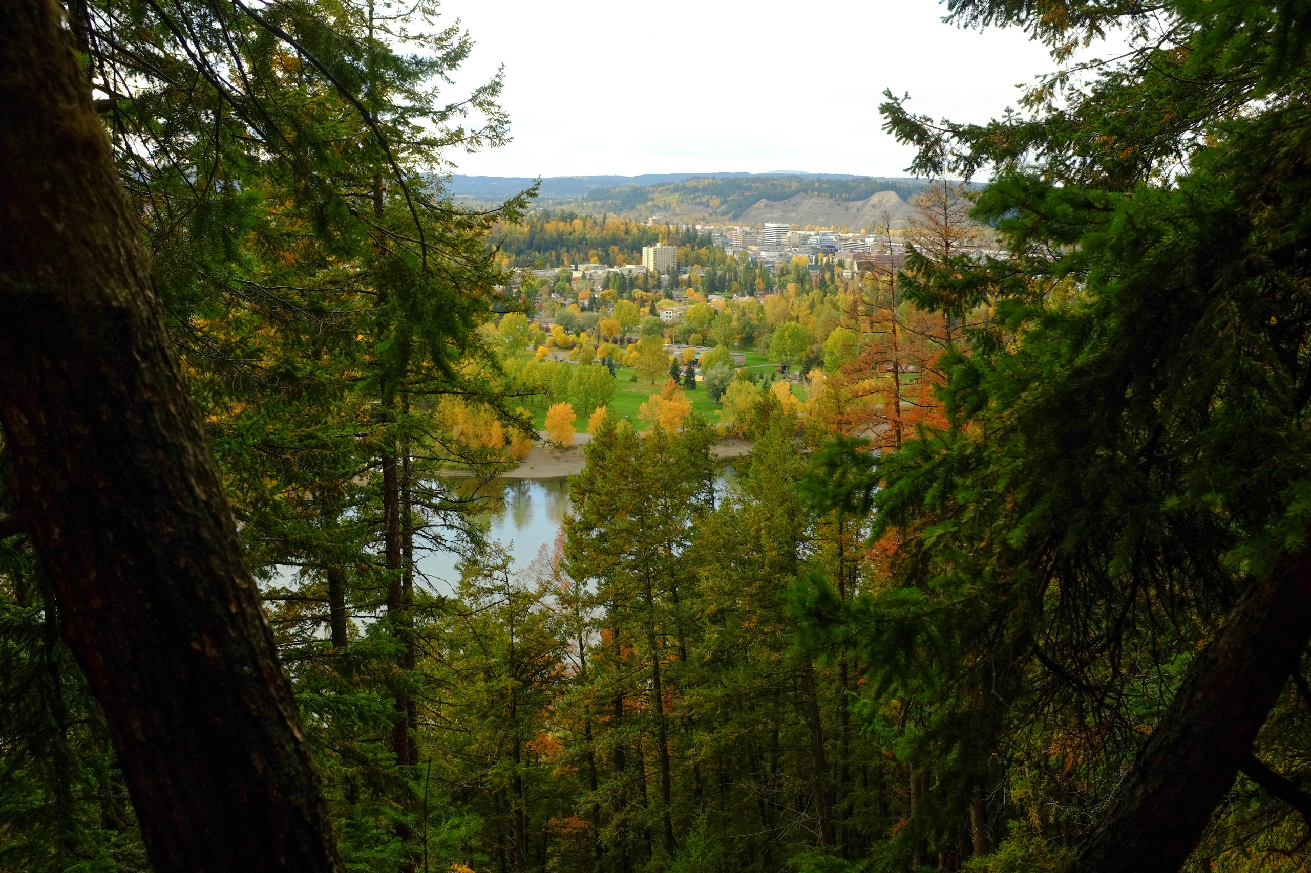 Community Wildfire Resiliency Plan | Get Involved Prince George